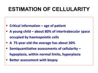 Morphology of bone marrow aspirates - Dr Hurwitz.pdf