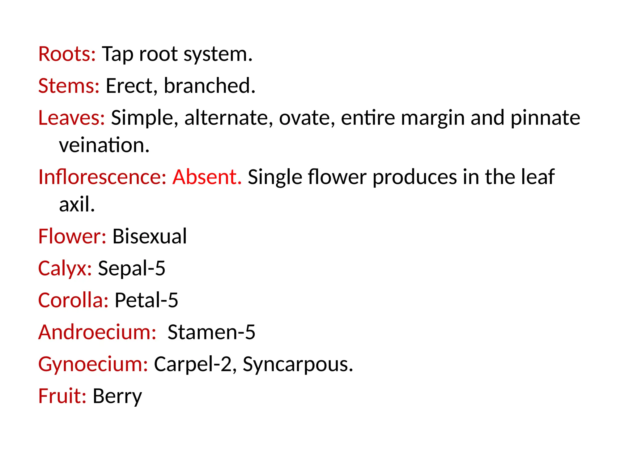 Morphology__of_Capsicum_20102014.ppt.ppt