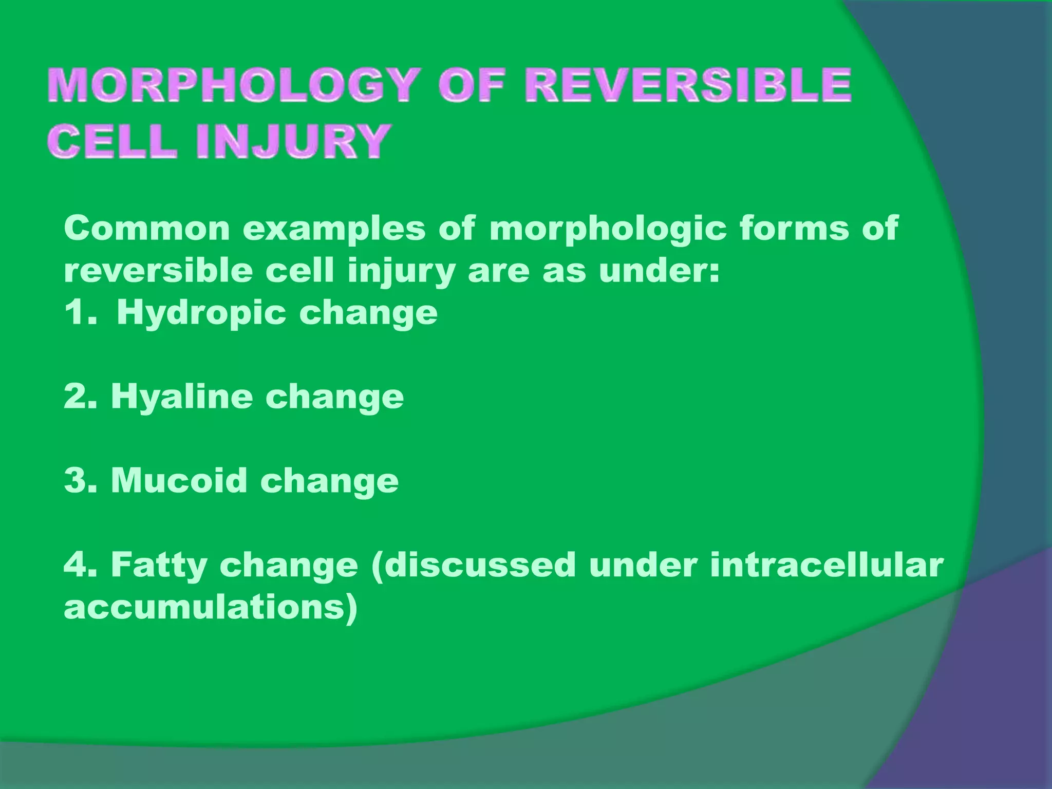 Morphology of cell injury and Intracellular accumulationspptx | PPTX
