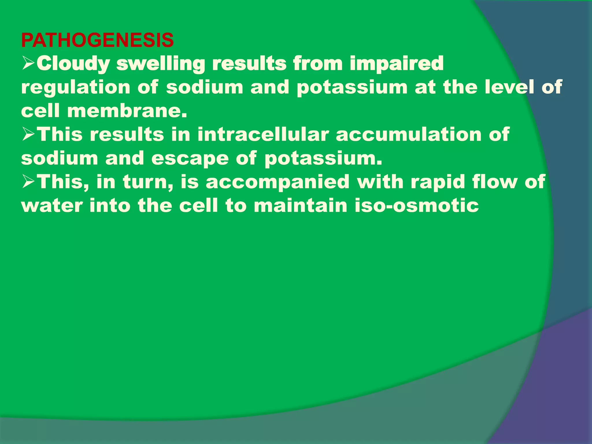 Morphology of cell injury and Intracellular accumulationspptx | PPTX