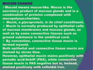 Morphology of cell injury and Intracellular accumulationspptx | PPTX ...