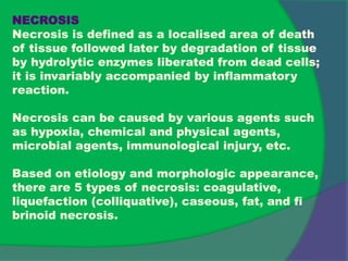 Morphology of cell injury and Intracellular accumulationspptx | PPTX