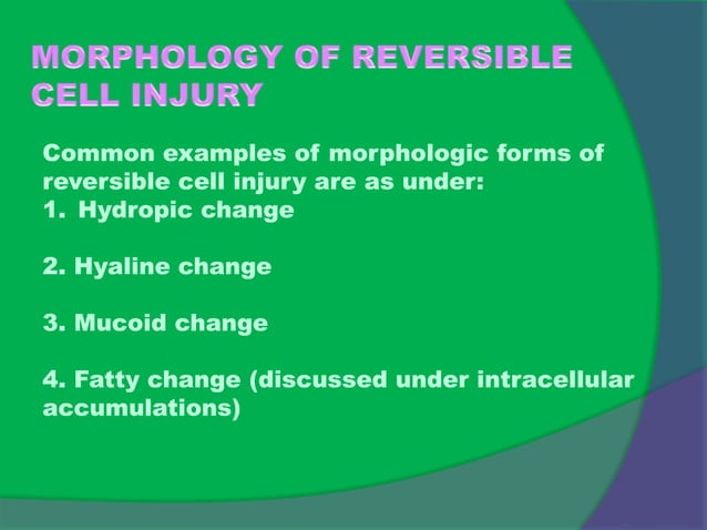 Morphology of cell injury and Intracellular accumulationspptx | PPTX ...