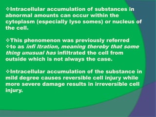 Morphology of cell injury and Intracellular accumulationspptx | PPTX