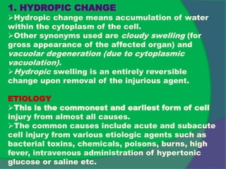 Morphology of cell injury and Intracellular accumulationspptx | PPTX ...