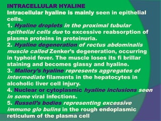 Morphology of cell injury and Intracellular accumulationspptx | PPTX