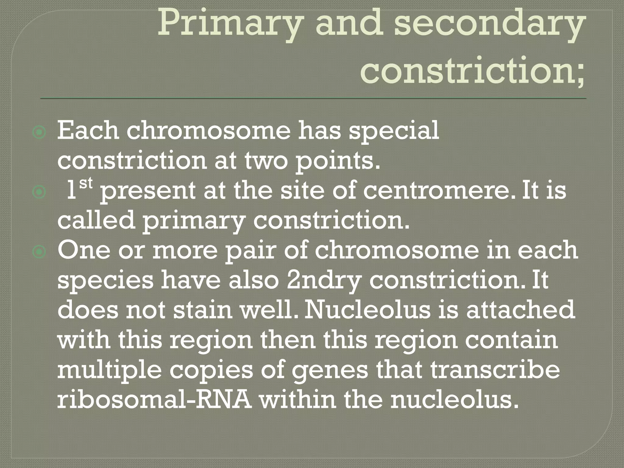 Morphology of chromosomes.pdf