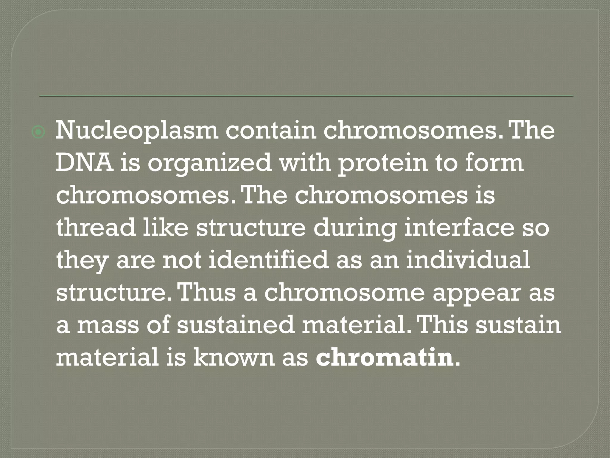 Morphology of chromosomes.pdf