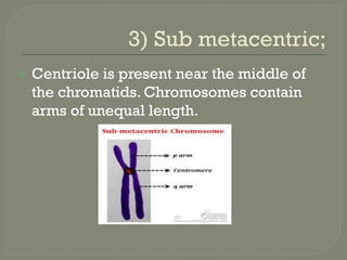 Morphology of chromosomes.pdf