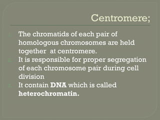 Morphology of chromosomes.pdf