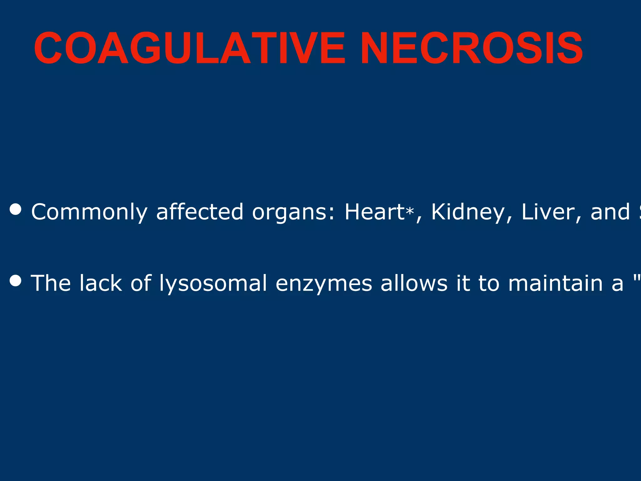 Coagulative Necrosis + Morphology | PPTX