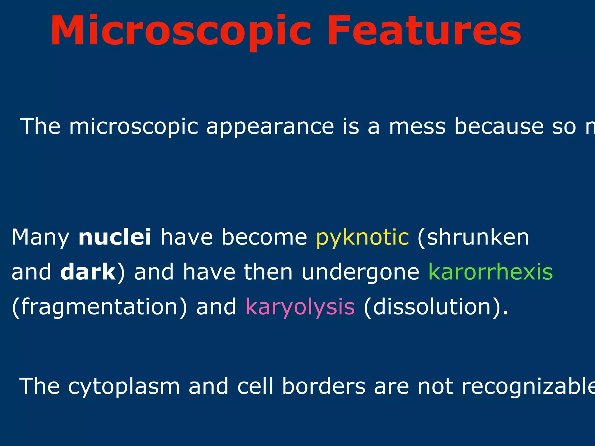 Coagulative Necrosis + Morphology | PPTX