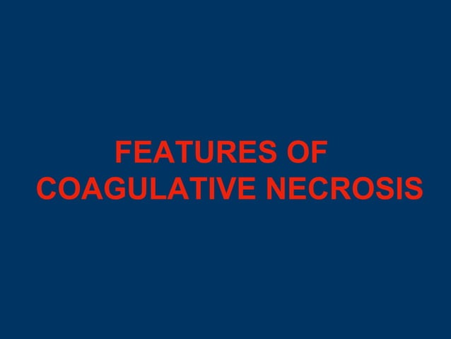 Coagulative Necrosis + Morphology | PPTX