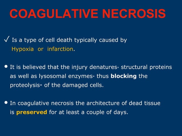Coagulative Necrosis + Morphology | PPTX