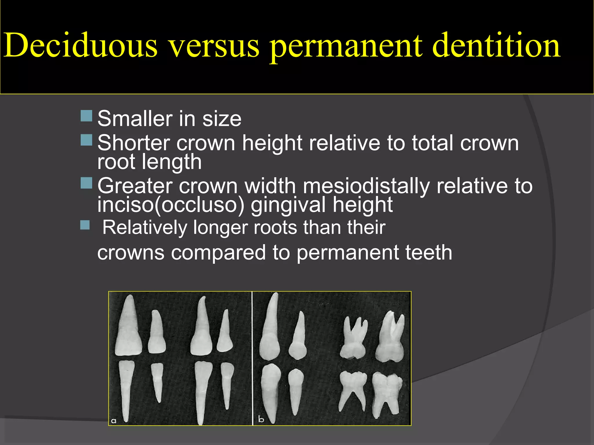 Morphology of deciduous dentition | PPT