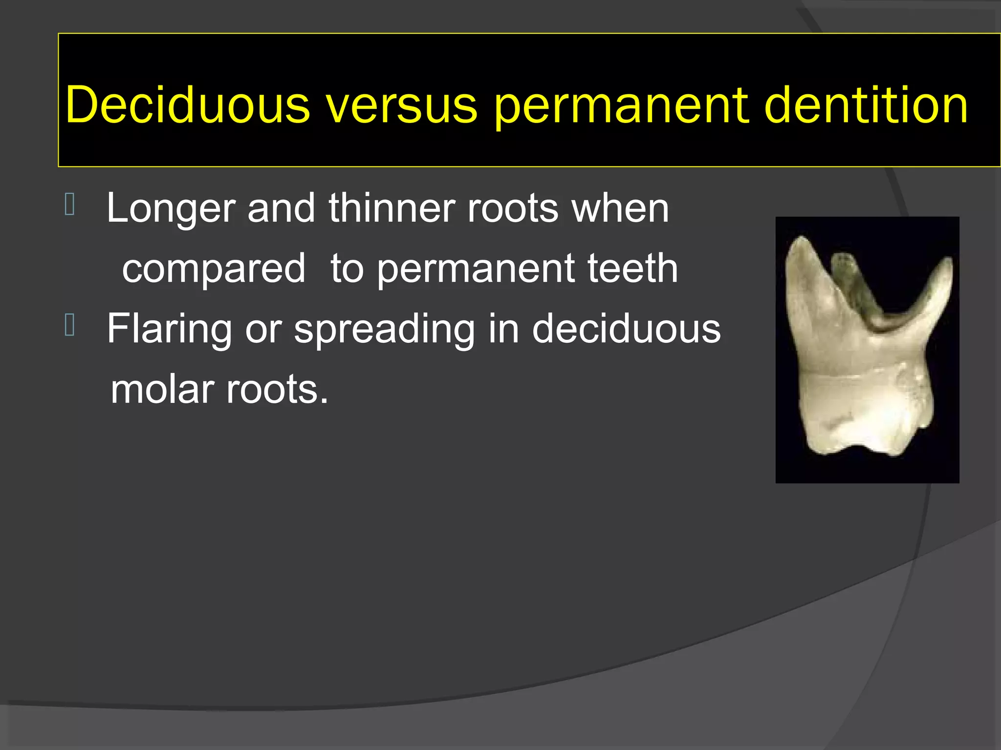 Morphology of deciduous dentition | PPT