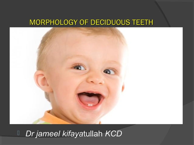 Morphology of deciduous dentition | PPT | Oral care | Personal Care