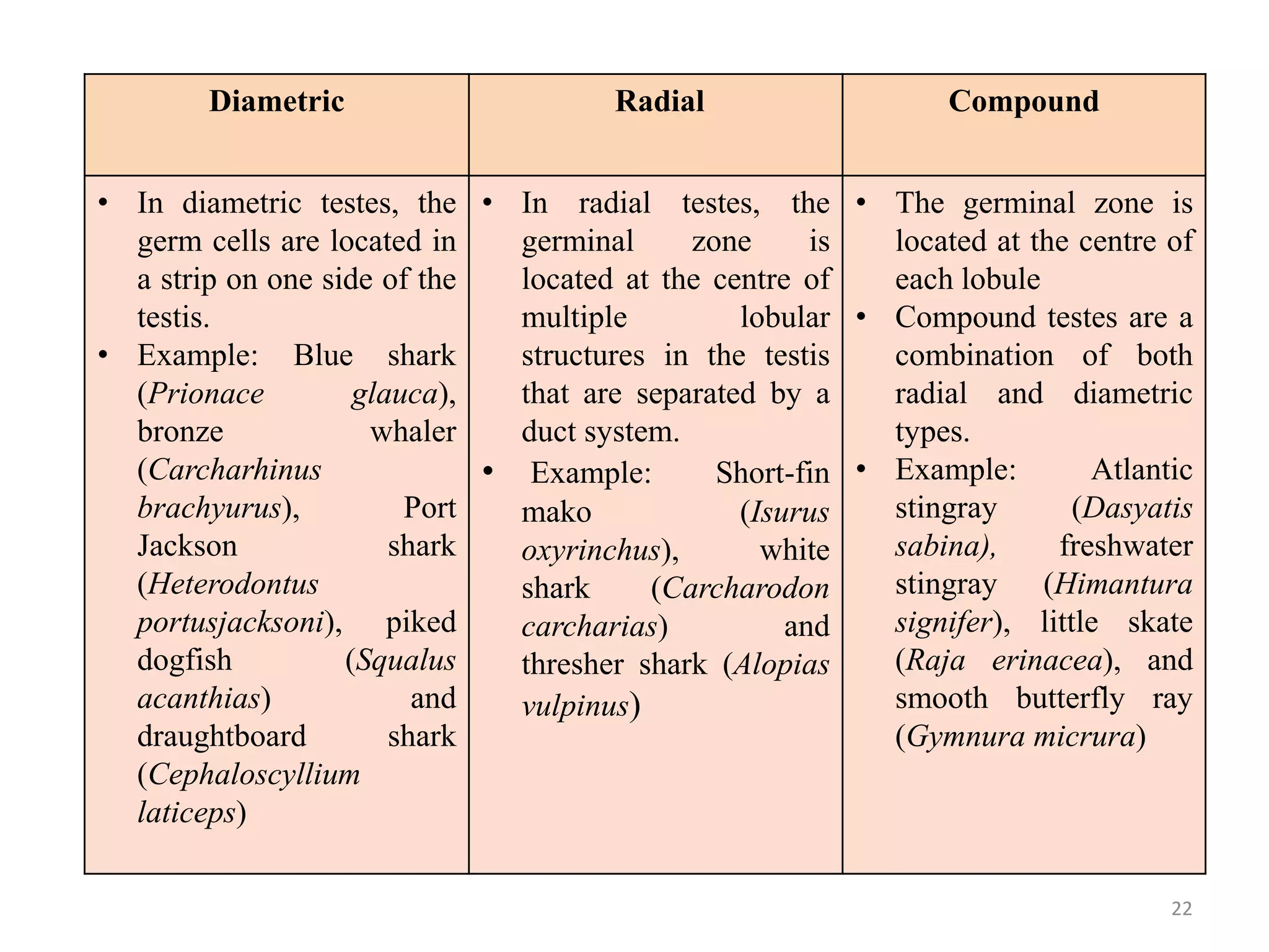 Morphology of Fish Testes | PPTX