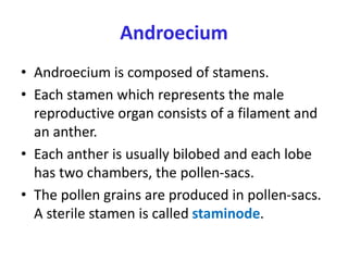 Morphology of flower | PPTX