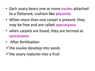 Morphology of flower | PPTX