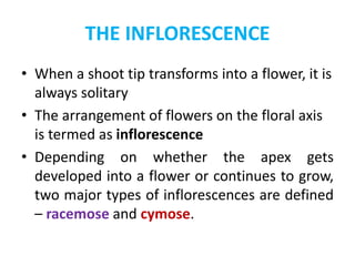 Morphology of flower | PPTX
