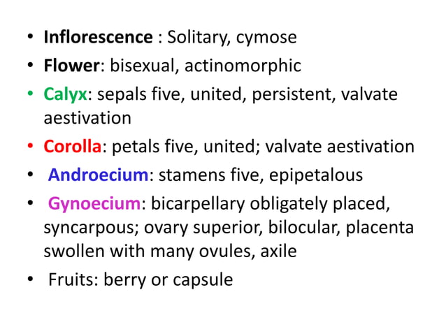 Morphology of flower | PPTX | Reproductive Health | Diseases and Conditions