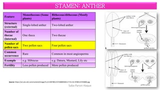Morphology of Flower (STRUCTURE OF FLOWER). | PDF