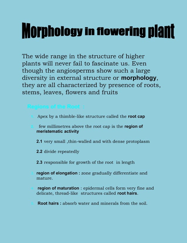 Morphology of flowering plant sneha | PDF