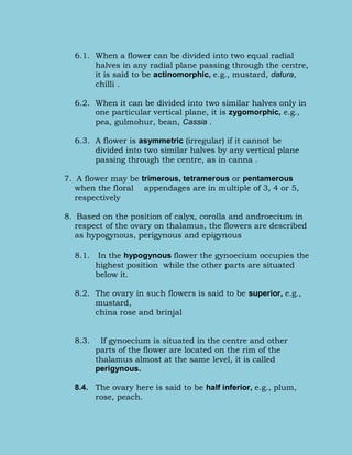 Morphology of flowering plant sneha | PDF