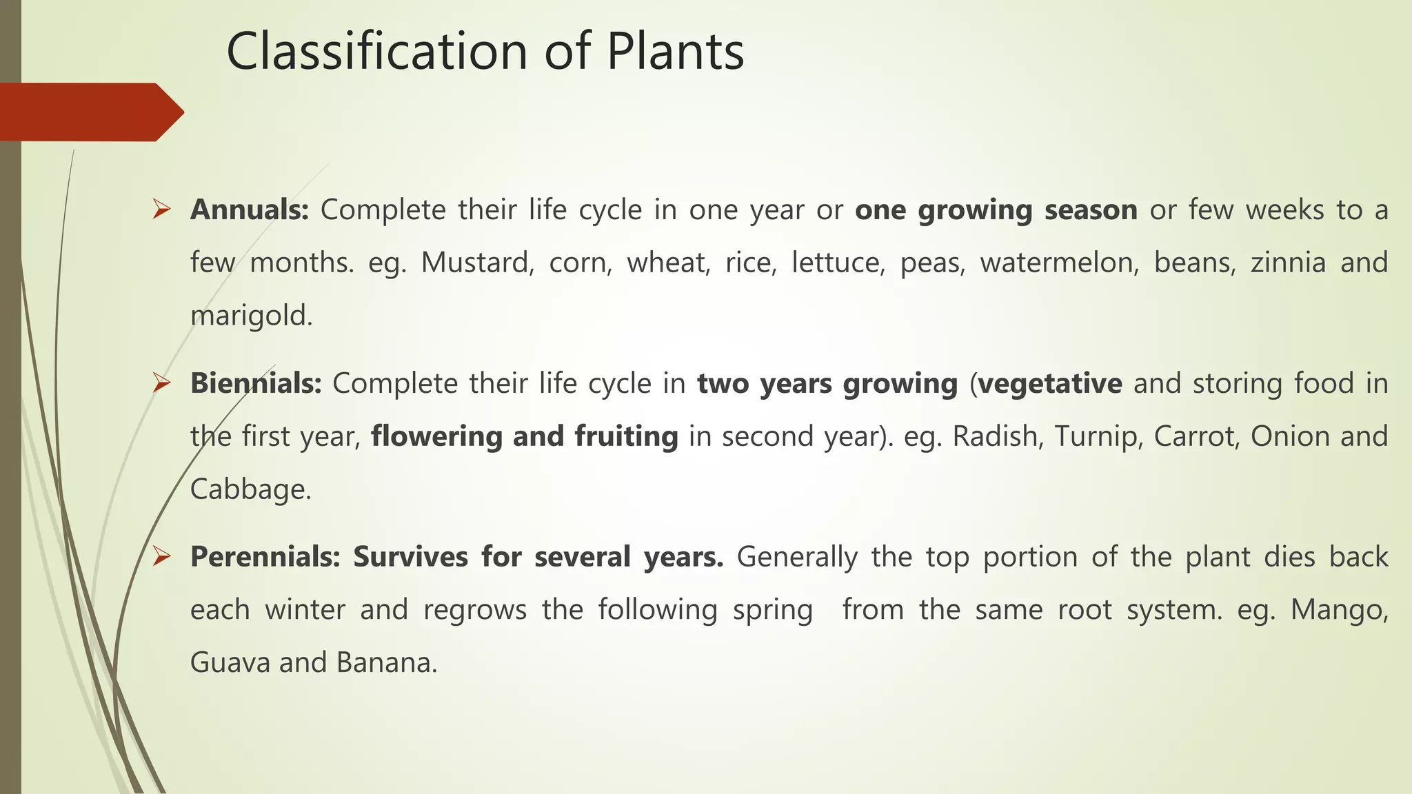 morphologyoffloweringplants-190907084525.pdf