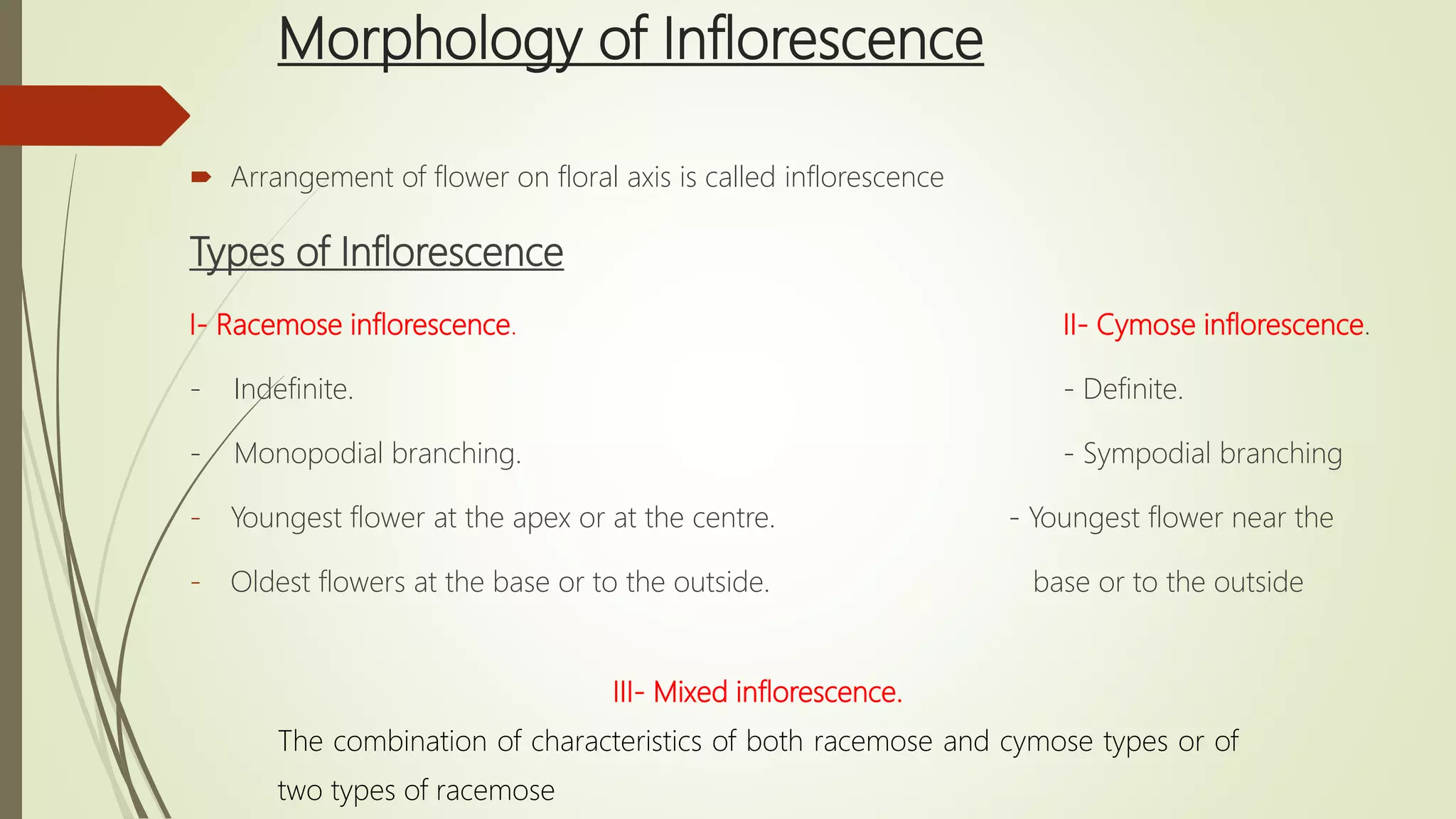 Morphology of flowering plants | PPTX