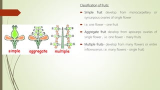 Morphology of flowering plants | PPTX