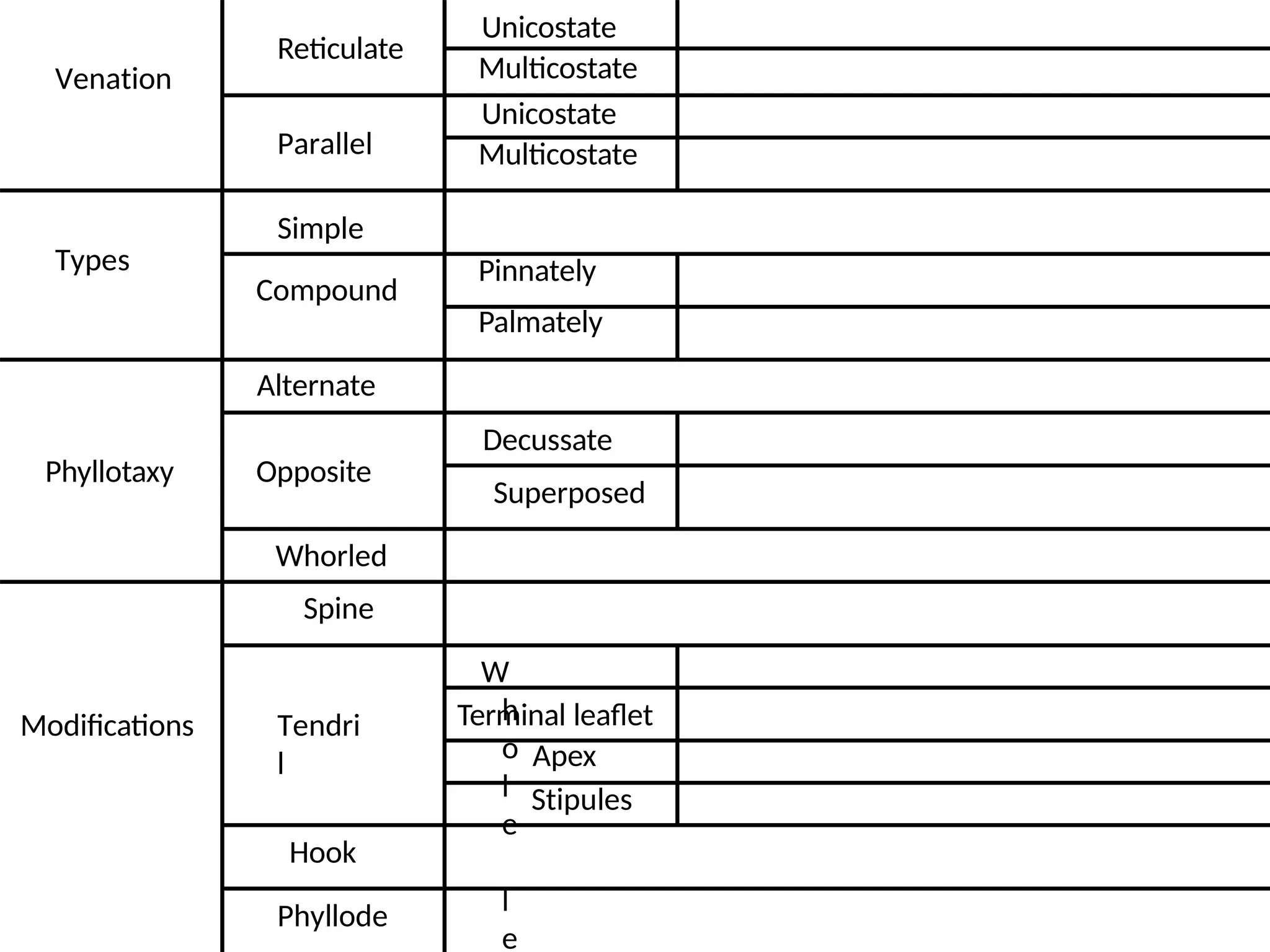 Morphology of flowering plants.pptx Biology | PPTX