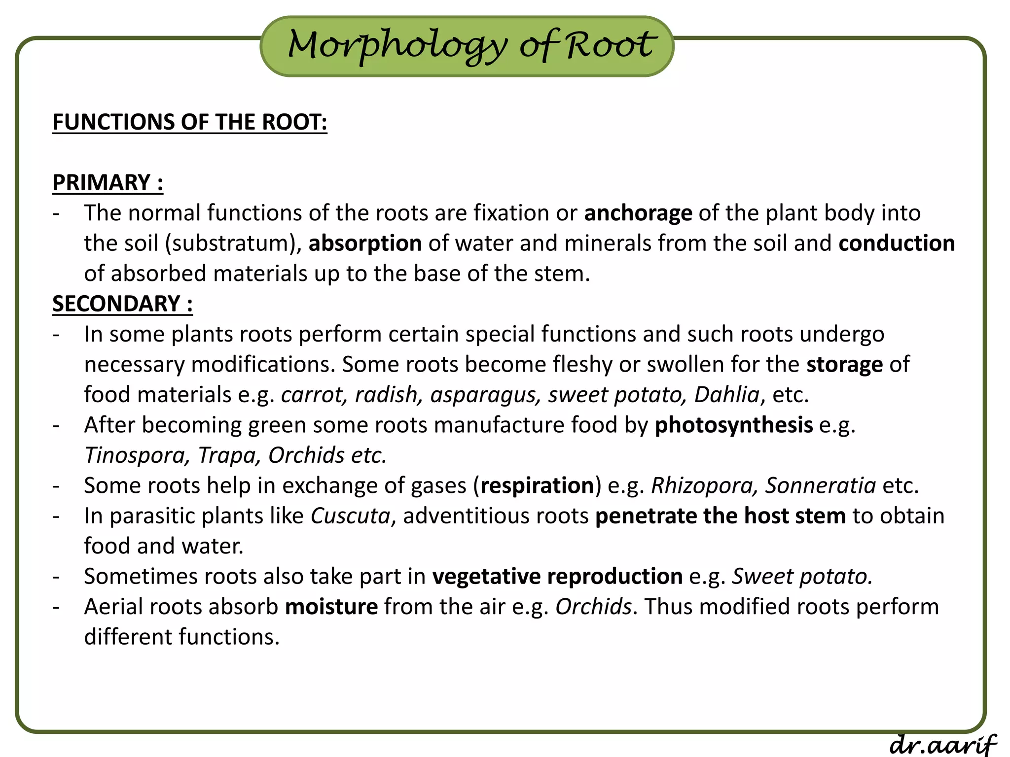 Morphology Of Flowering Plants | PDF