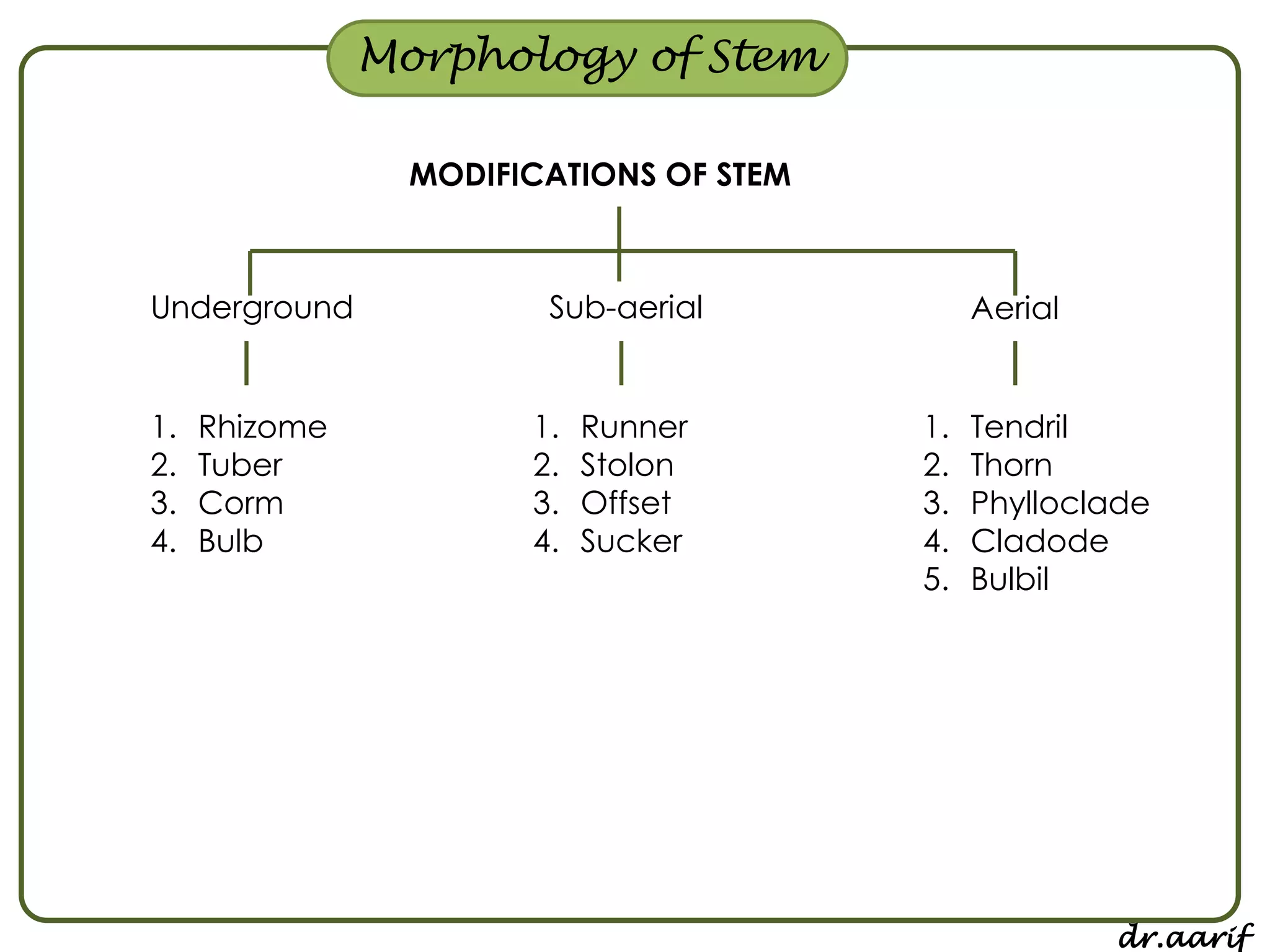 Morphology of flowering plants - I (root, stem & leaf) | PPSX