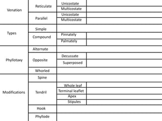 Morphology of flowering plants - I (root, stem & leaf) | PPSX