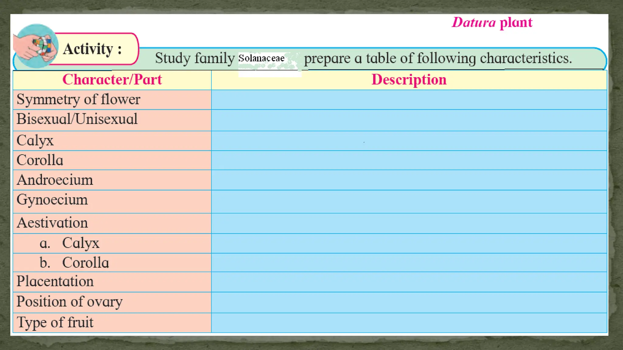 Morphology of flowering plants ......... | PDF