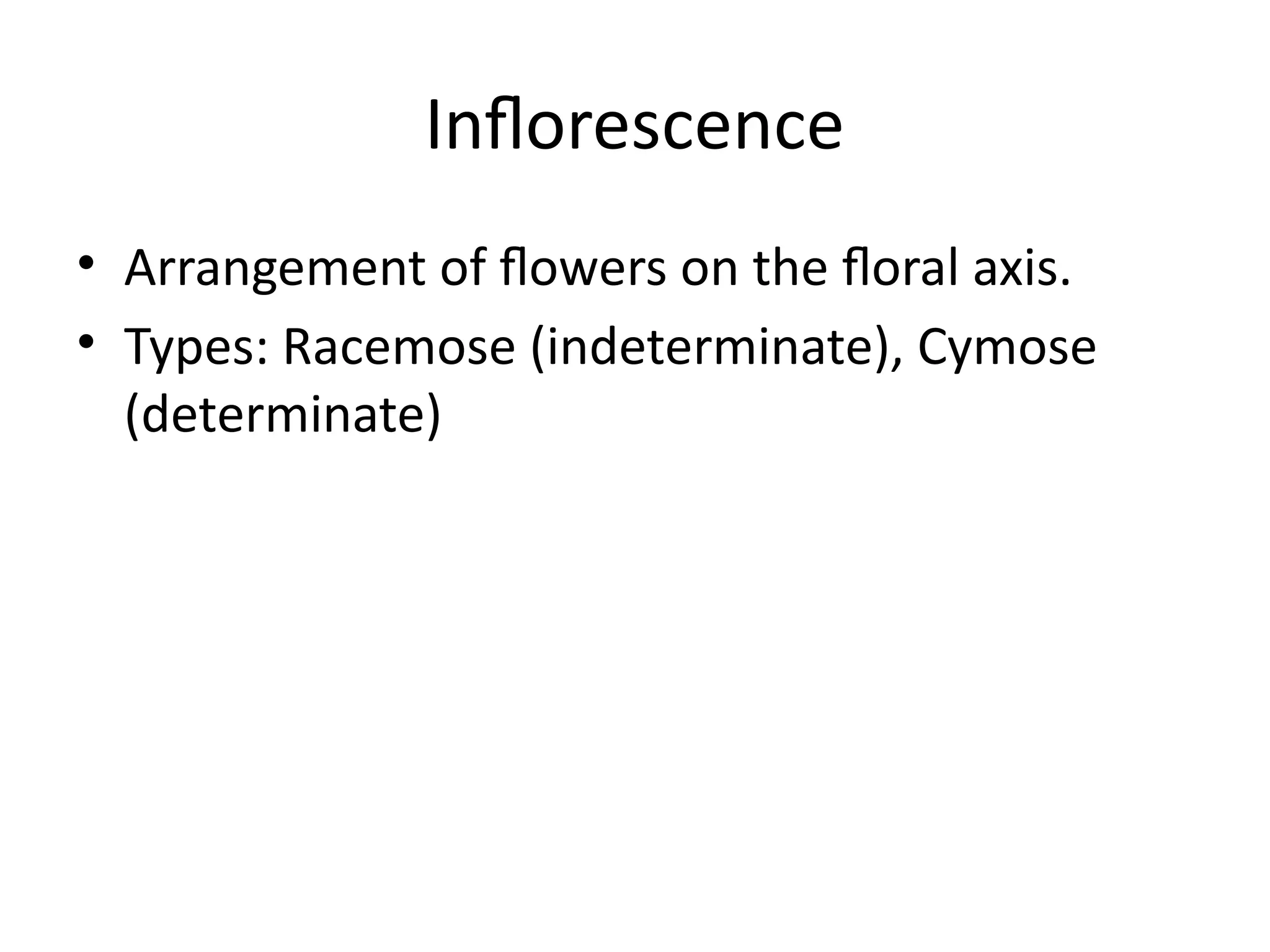 Morphology_of_Flowering_Plants_Class11.pptx