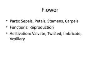 Morphology_of_Flowering_Plants_Class11.pptx