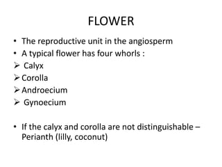 Morphology of flowering plants | PPTX