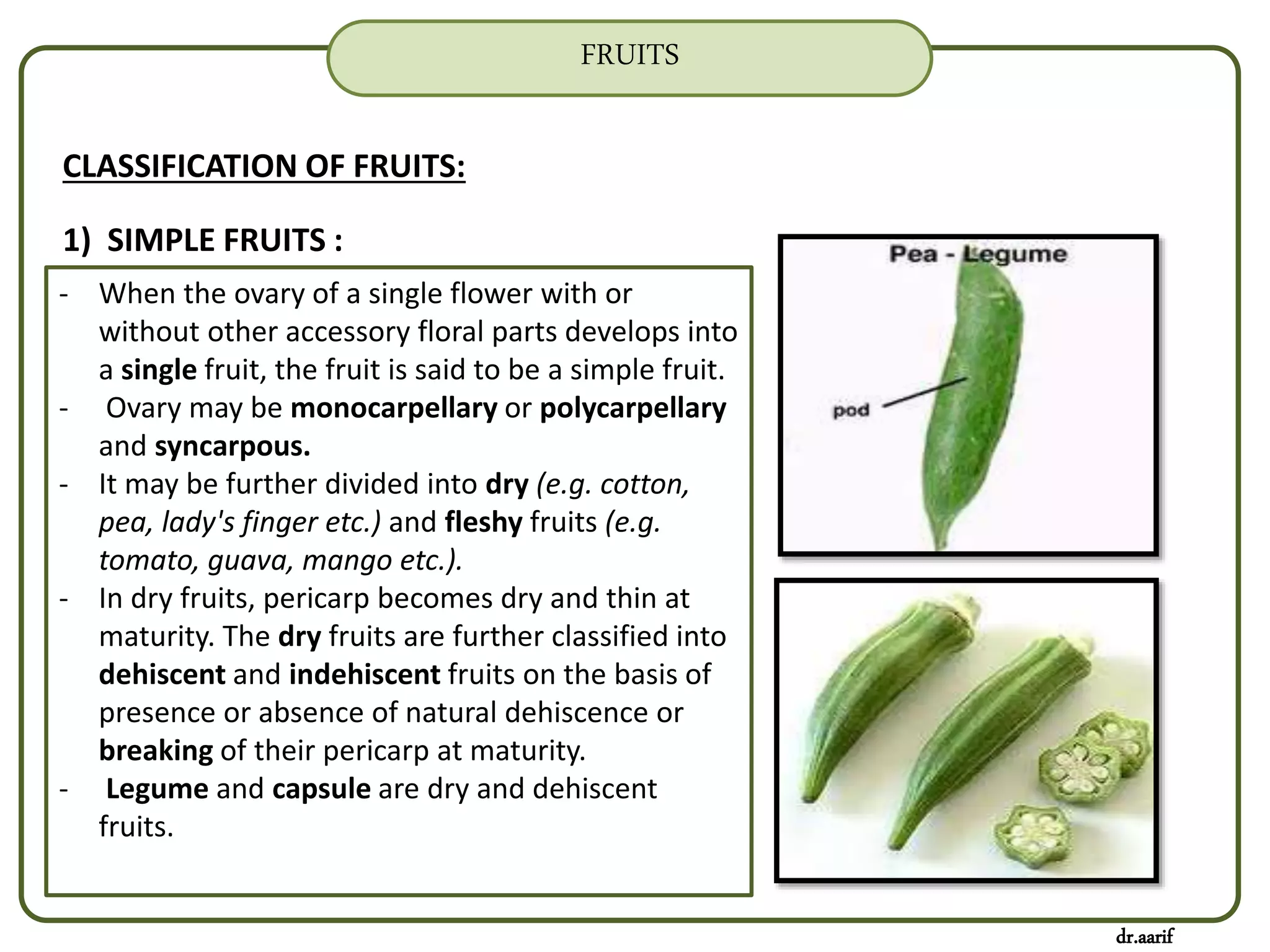 Morphology of flowering plants part2 | PPTX