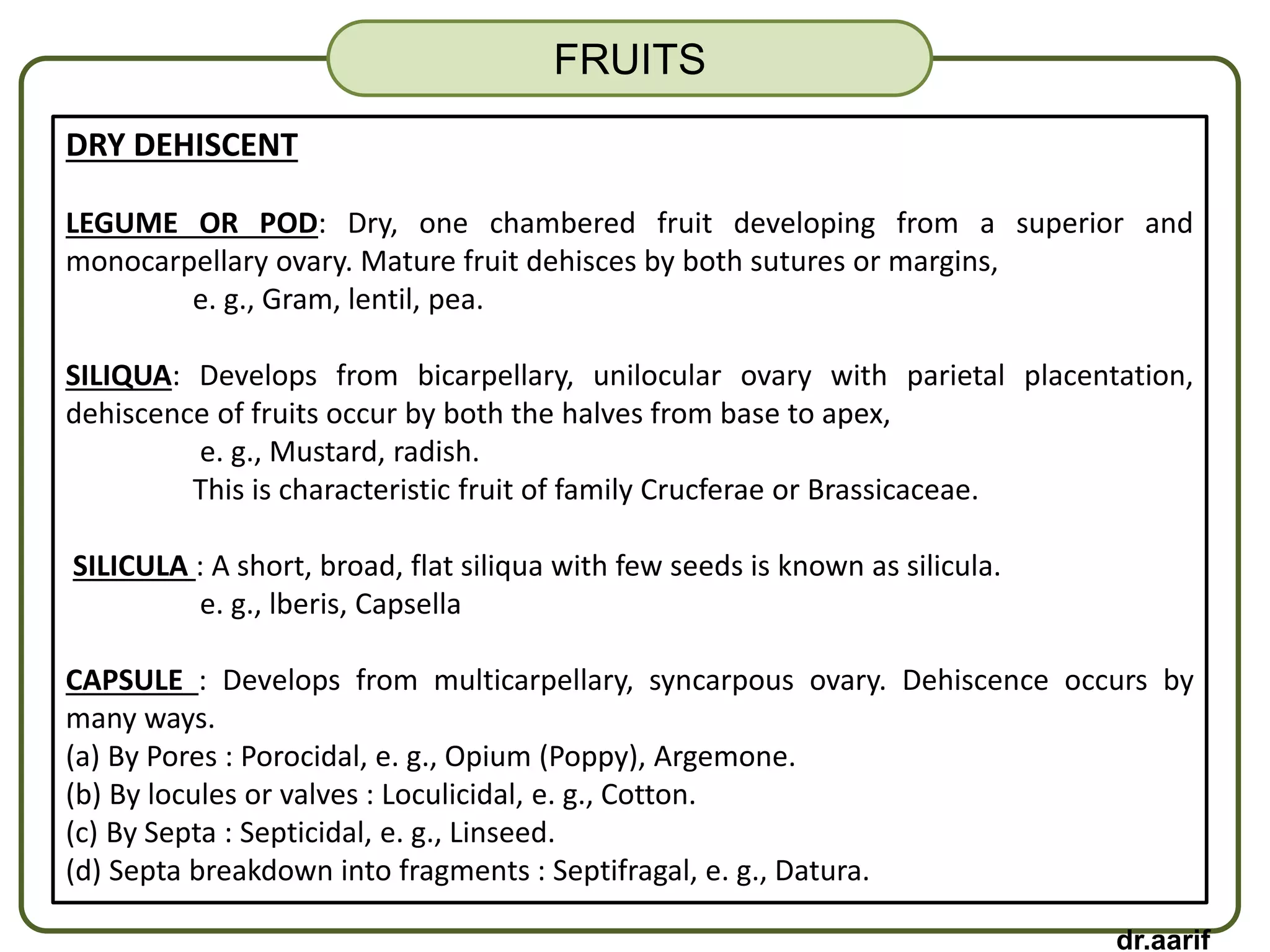Morphology of flowering plants part2 | PPTX