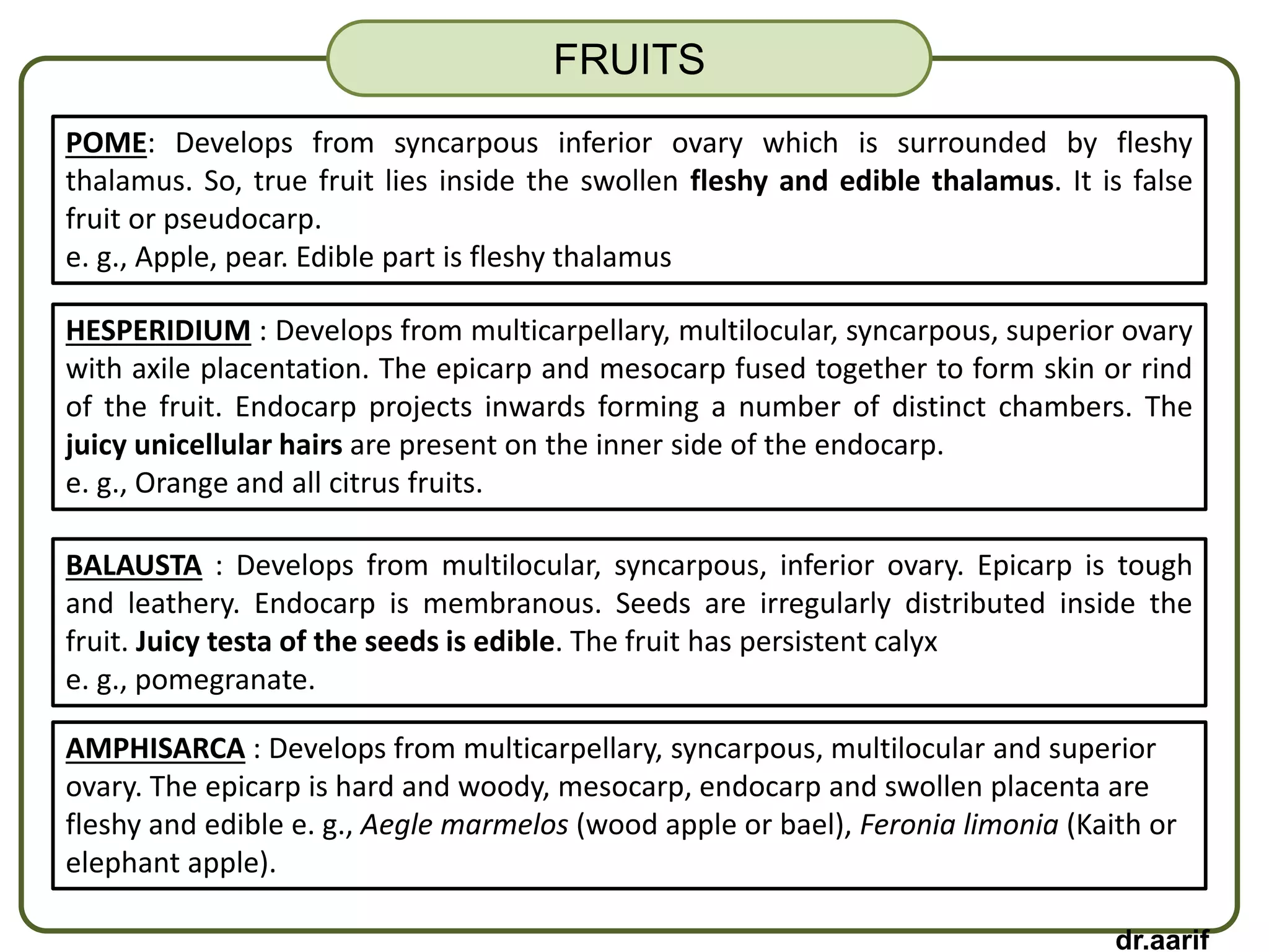 Morphology of flowering plants part2 | PPTX