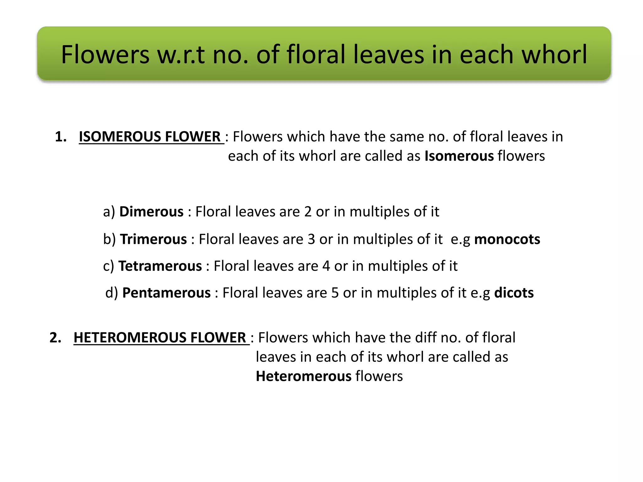 Morphology of flowering plants part2 | PPTX