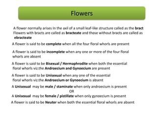 Morphology of flowering plants part2 | PPTX