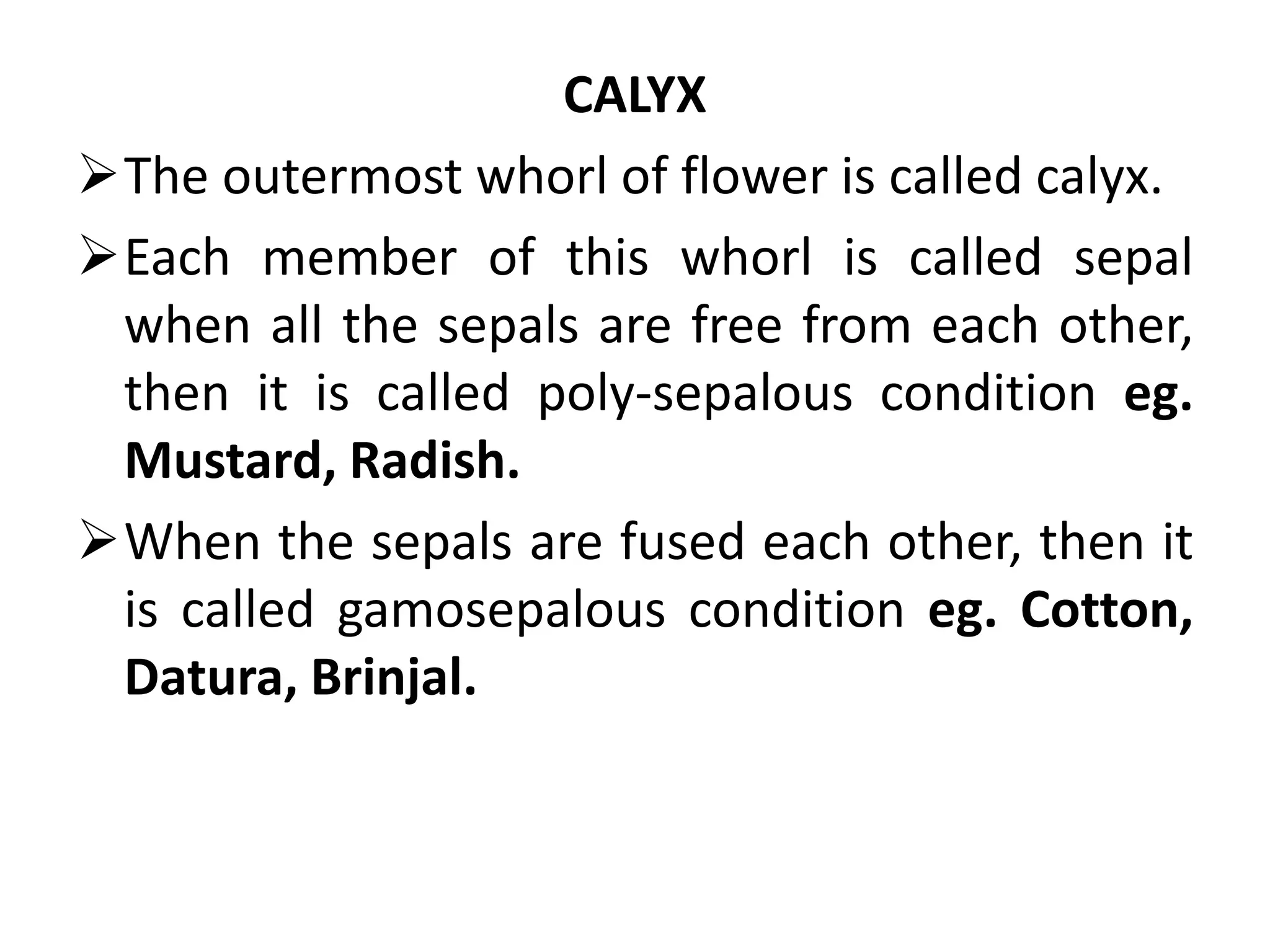 Morphology of Flowers.pptx