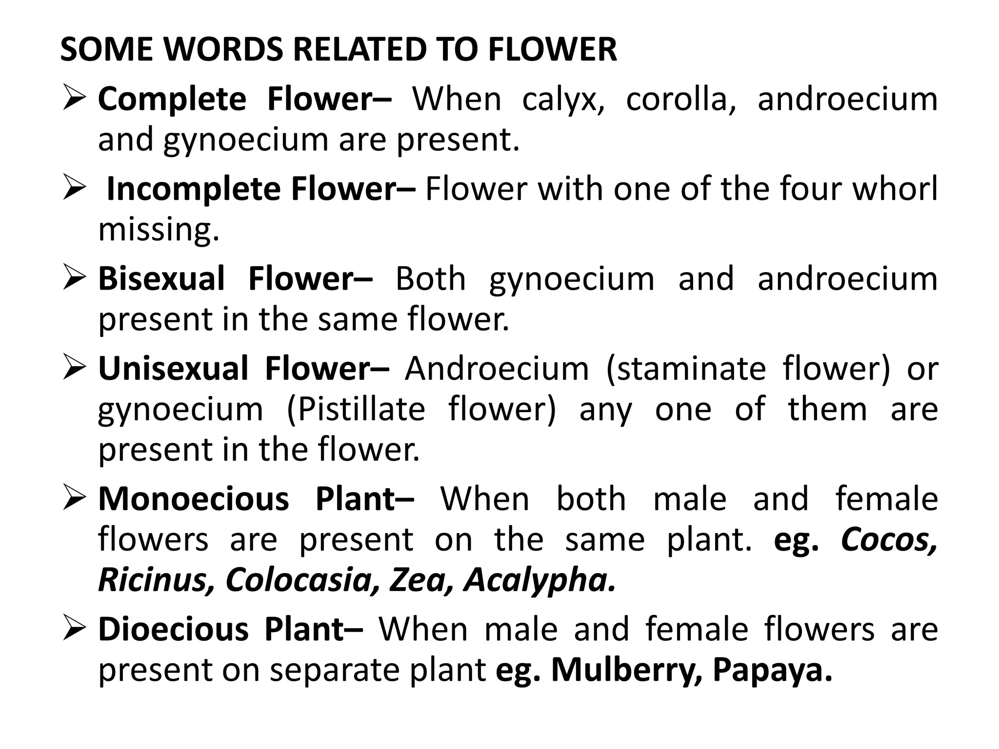 Morphology of Flowers.pptx