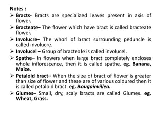Morphology of Flowers.pptx
