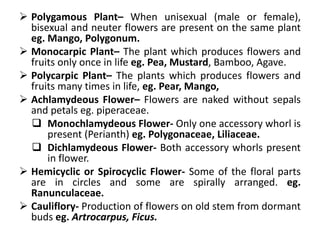 Morphology of Flowers.pptx
