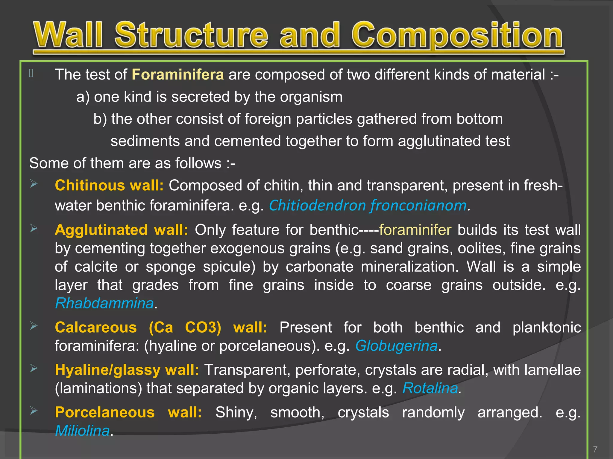 Morphology of foraminifera | PPT
